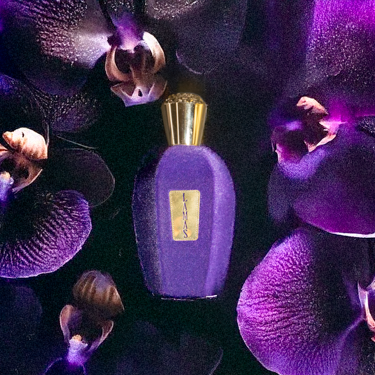 Lamas Perfume